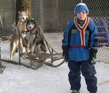 NH Mushers Association :: About Us